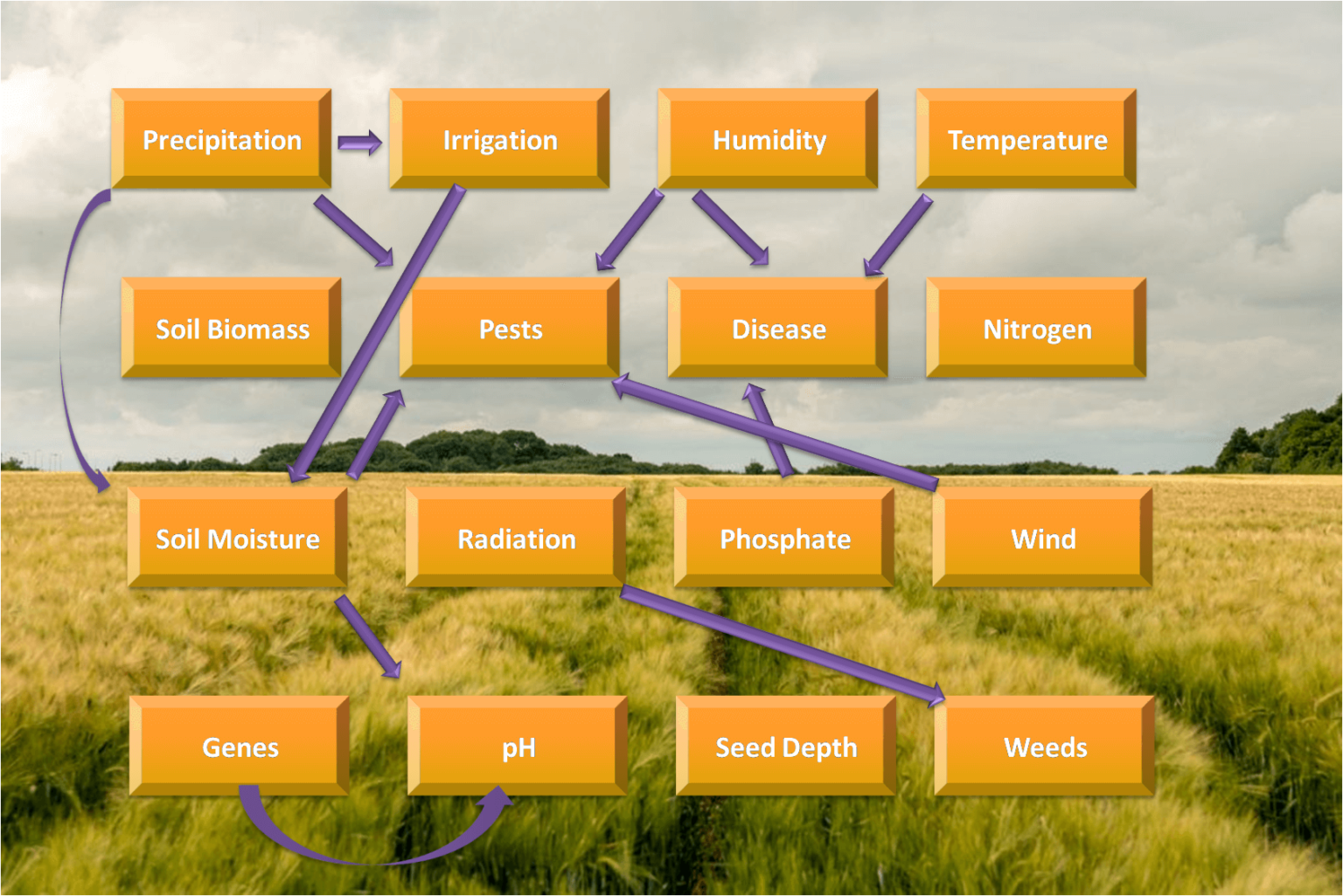 Data Driven Agriculture And Role Of Artificial Intelligence In Farming